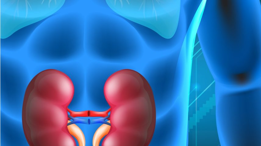 Urologista revela sete dicas essenciais para manter a saúde dos rins ...